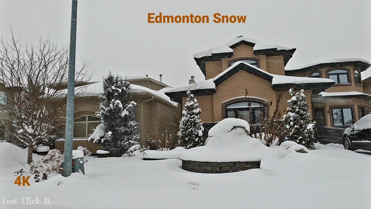Freezing Cold and Snowfall in Edmonton, AB, 🇨🇦 - Jan 2022 - YouTube