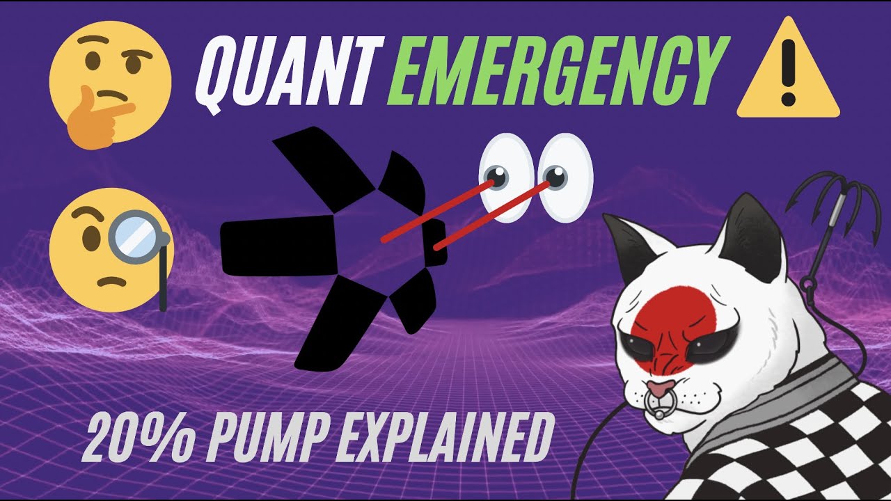 QUANT QNT 20% PUMP EXPLAINED! WHATS NEXT A DUMP?! - YouTube