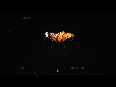 FREE | Post Malone Type Beat \