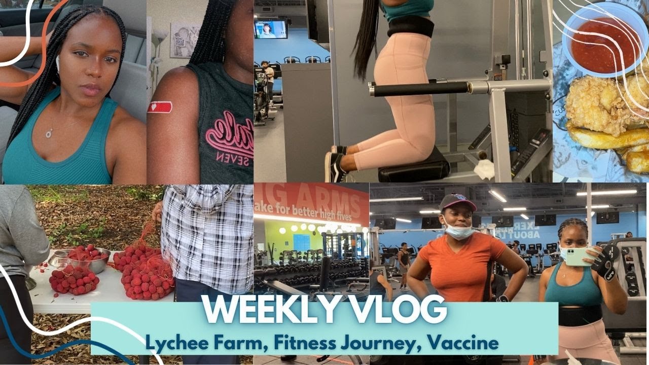 WEEKLY VLOG | NickyXO - YouTube