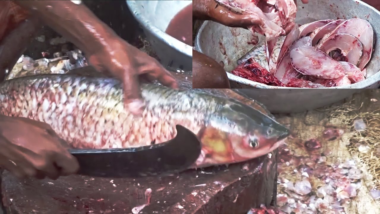 Amazing Fish Cutting Skills | Pamba Fish Cutting & Cleaning | Big Fish ...