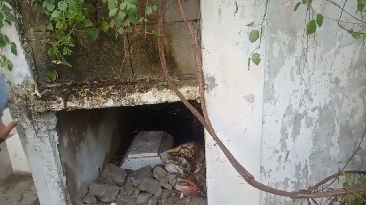 Mga Kapatid: Unboxing ulet ng Nitso buto ng Bata ft. Paggawa ng Nitso ...