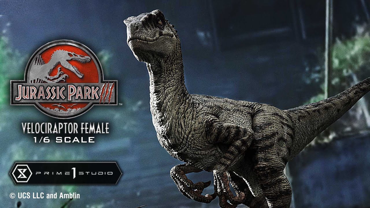 Prime 1 Studio VELOCIRAPTOR FEMALE (JURASSIC PARK III) - YouTube
