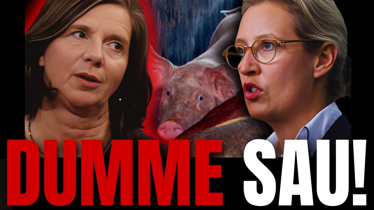 BILDUNGSFERNE FRAU GÖRING-ECKARDT GREIF WEIDEL IN TALK SHOW AN!! - YouTube
