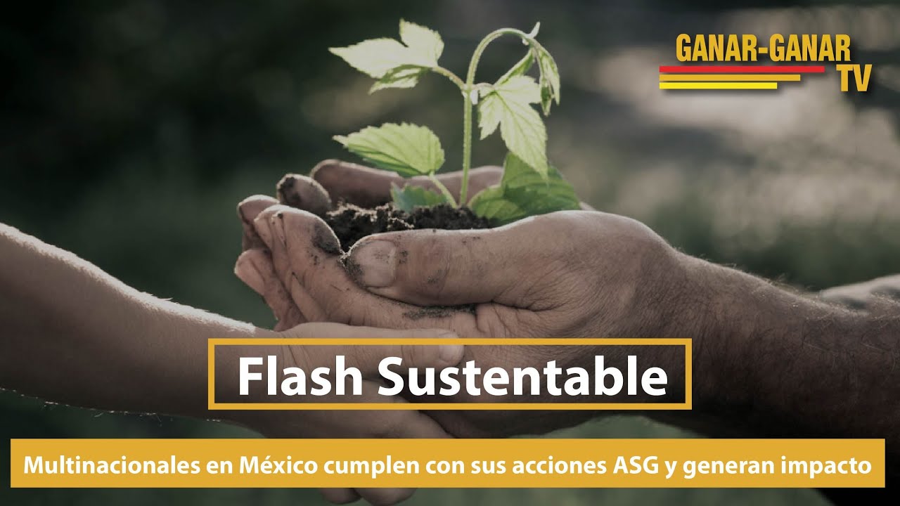Multinacionales en México cumplen con sus acciones ASG y generan ...