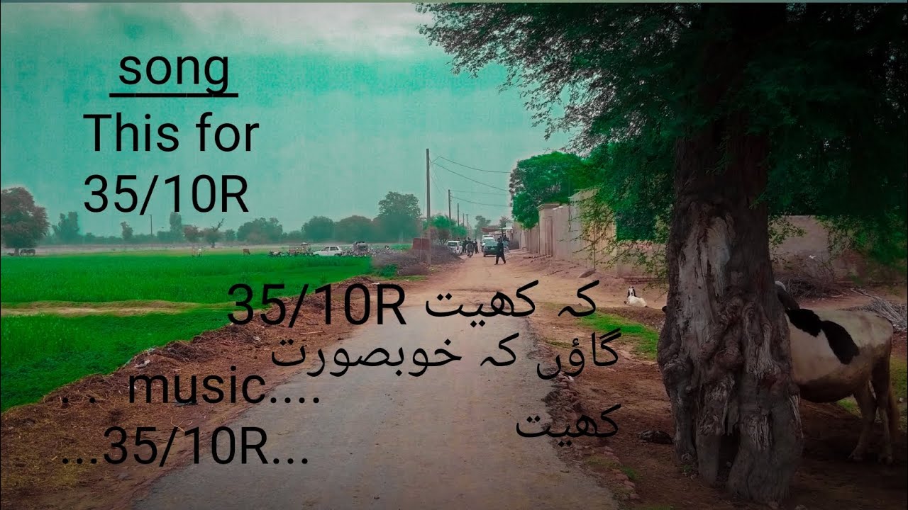 meri gaw ka beautiful khat beautit manzar 35/10R both beautiful ha mera ...