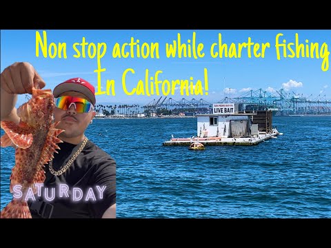 Deep sea Fishing in Long Beach California! **Non stop Action** - YouTube