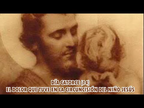 Consagración a San José - (DÍA CATORCE 14) EL DOLOR QUE TUVE EN LA ...
