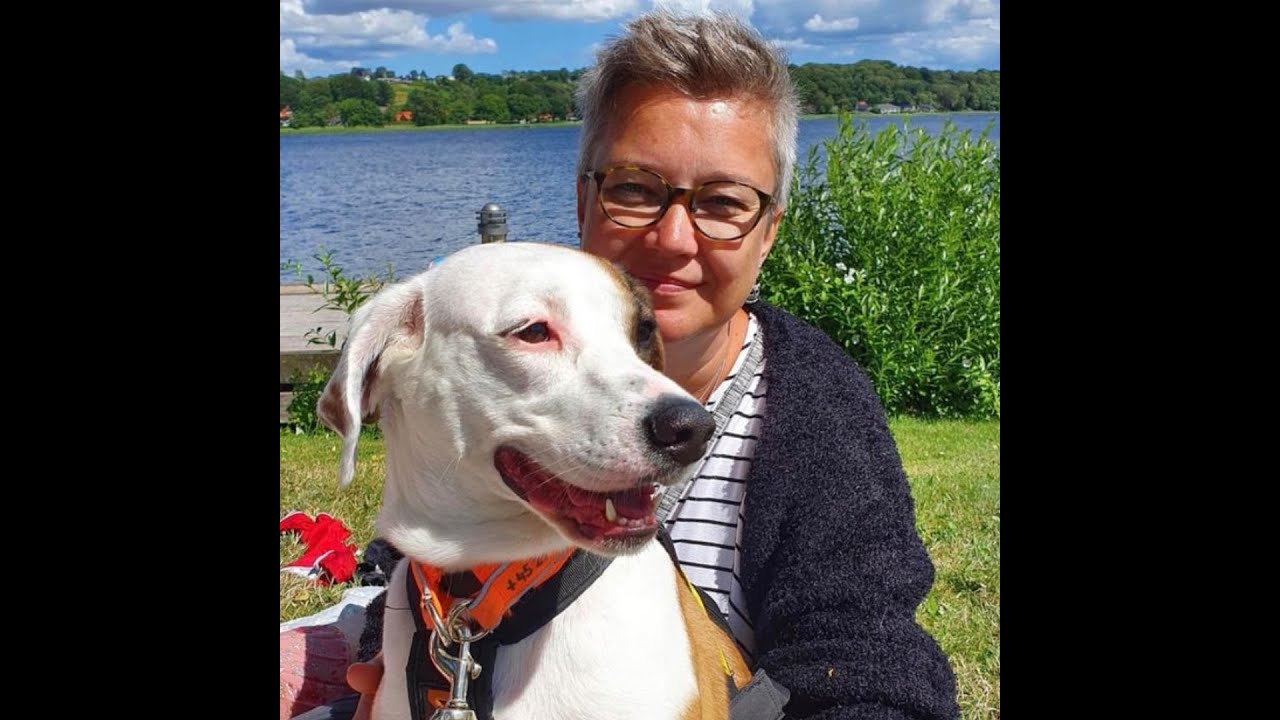 Behind the Scenes I Doggy Daycare - YouTube