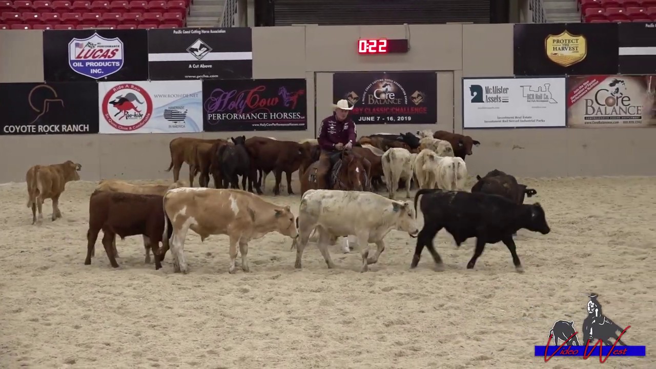 Dmac Doggfather Clint Allen 2019 PCCHA Derby Open 4YO Champion - YouTube