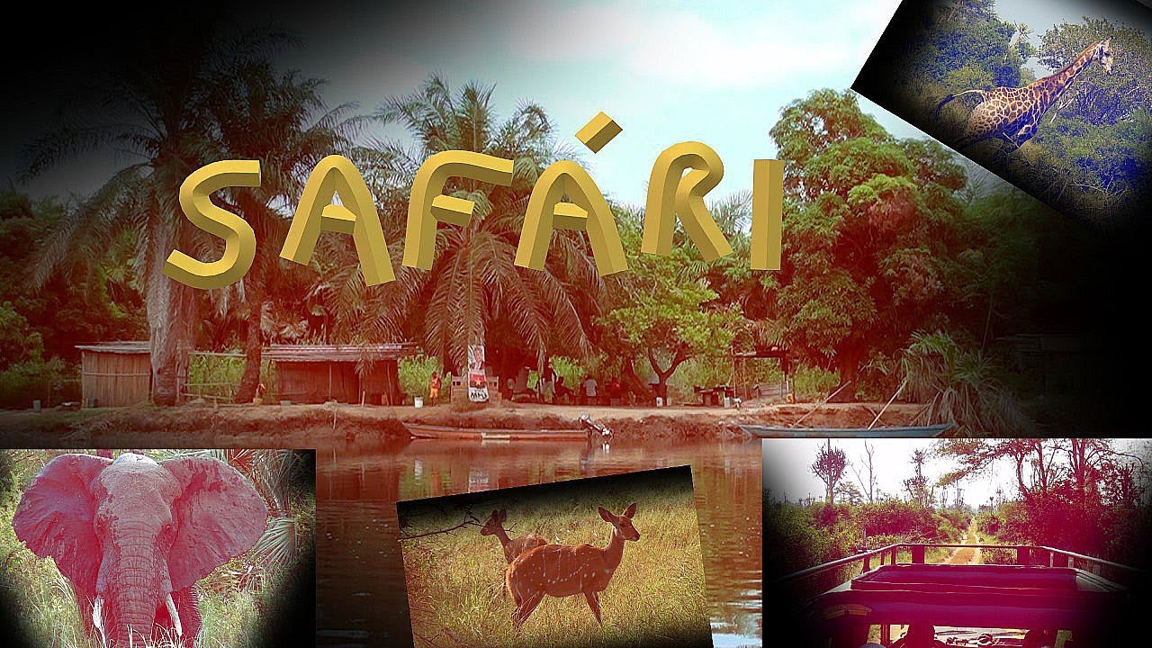 Safári no Parque Nacional Quiçama (Angola - Luanda) - YouTube