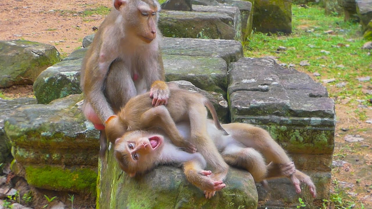 Lily gets jealous with her bro Leo cuz their mama Libby pay attention on him - YouTube