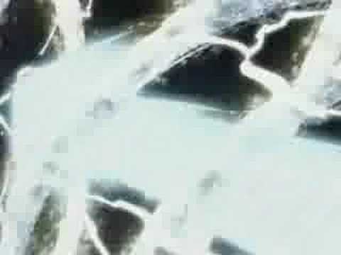 Negima (AMV) - Fight Together - YouTube