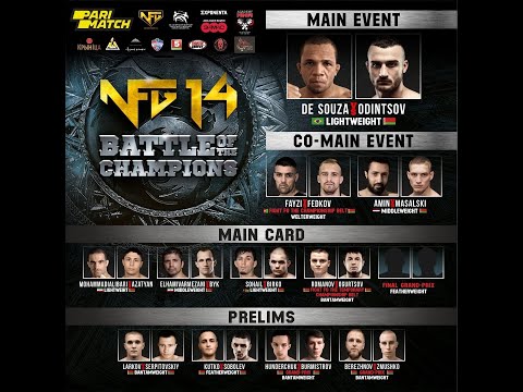 Бои в клетке NFG 14: Battle of the champions
