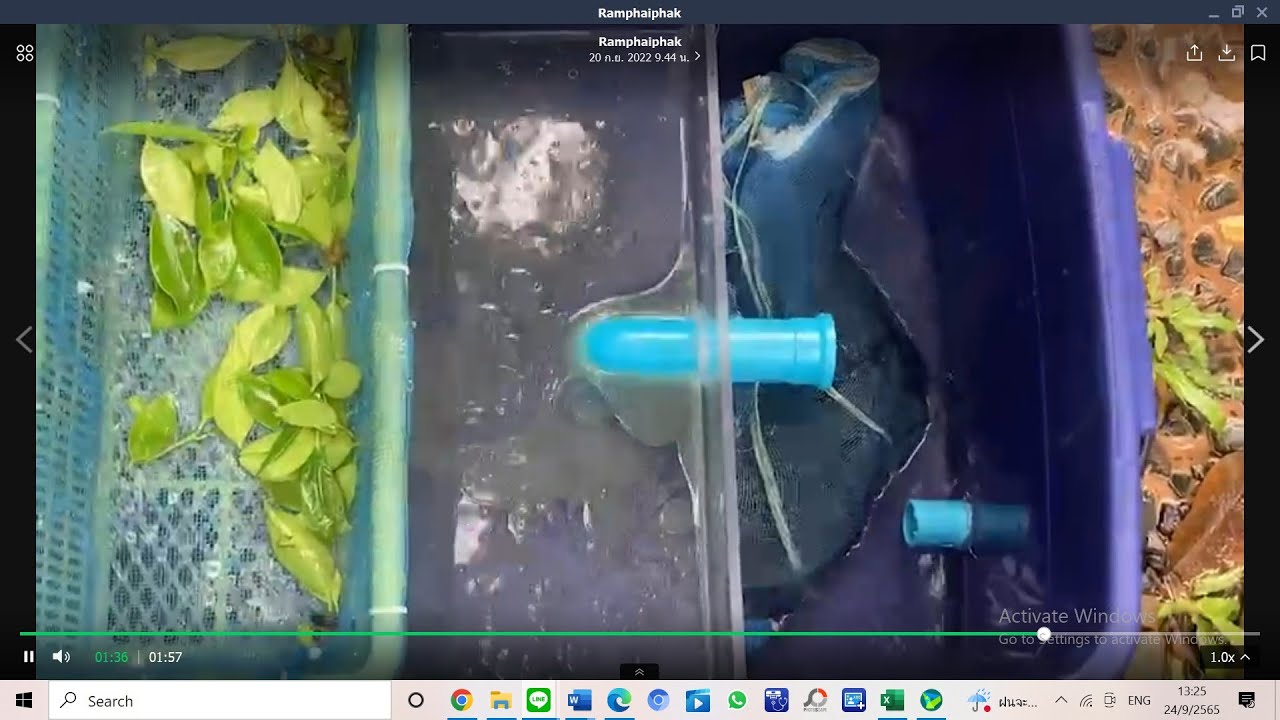 How to make a grease trap for using in your household. - YouTube