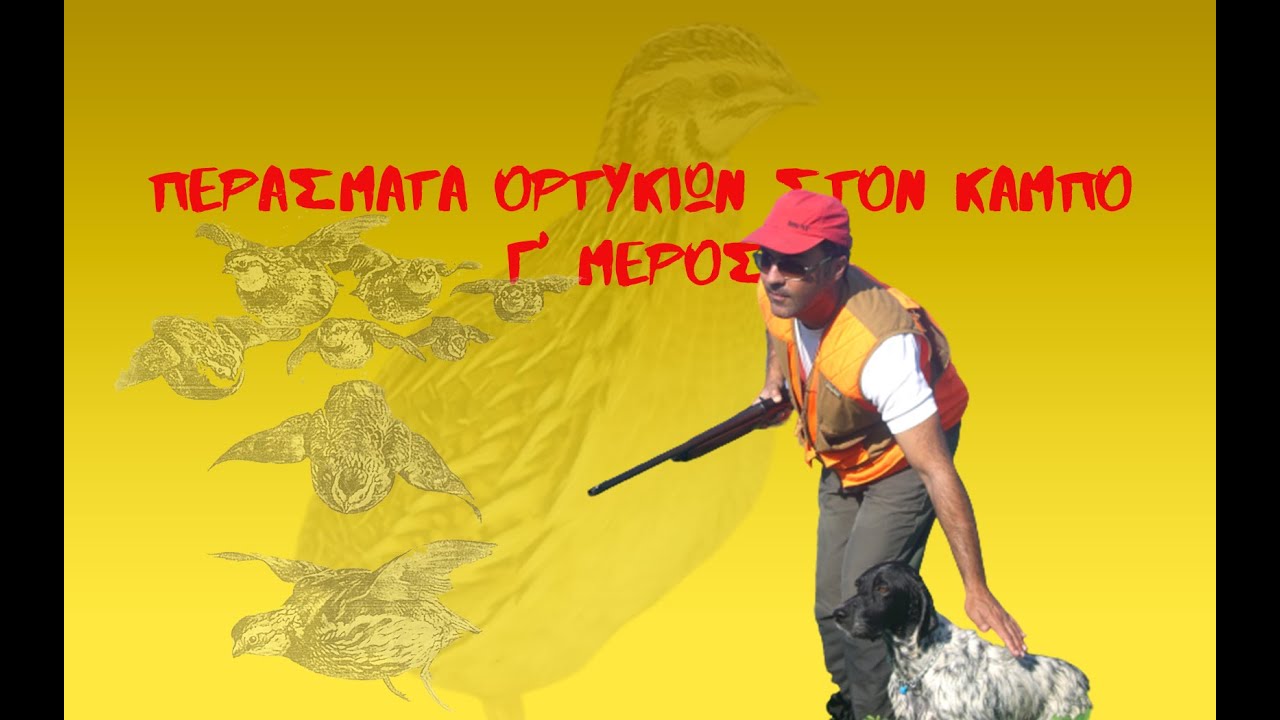 ΠΕΡΑΣΜΑ ΟΡΤΥΚΙΩΝ ΣΤΟΝ ΚΑΜΠΟ Γ' ΜΕΡΟΣ - YouTube
