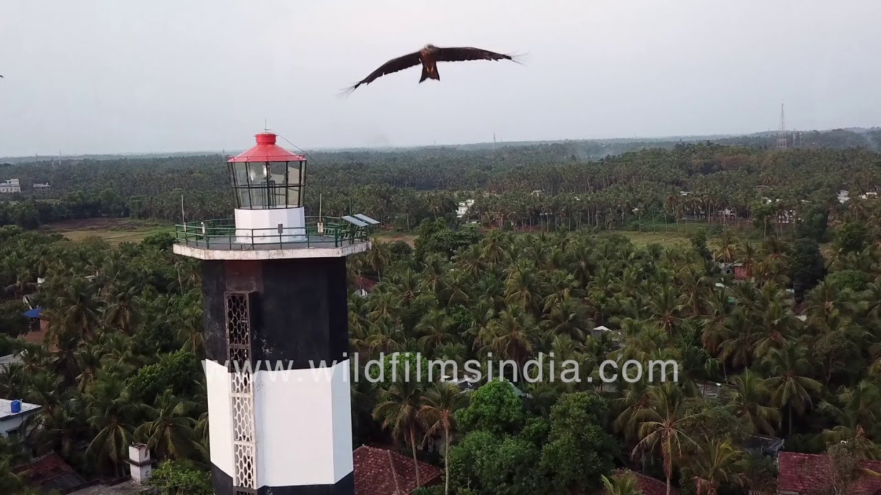 Lighthouse on beach in Kasaragod, Kerala - Beach and landscape seen in ...
