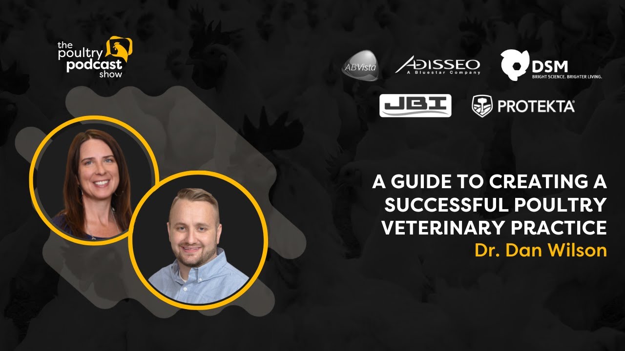 Dr. Dan Wilson: Poultry Veterinary Practice Guide | Ep. 15 - YouTube