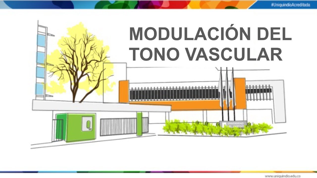 Retransmisión de la Clase de Modulación del Tono Vascular del Dr ...
