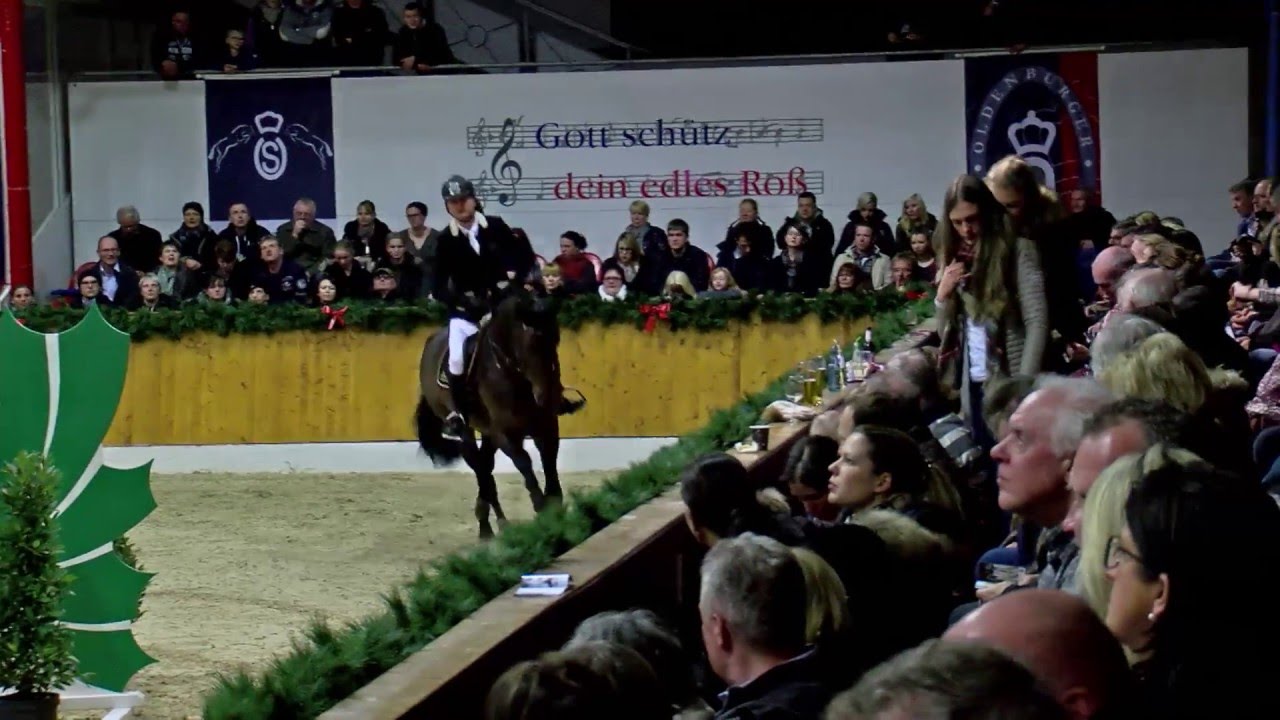 Campitello *2011 by Cador - Quick Star (Stallion Show Sosath 2016 ...