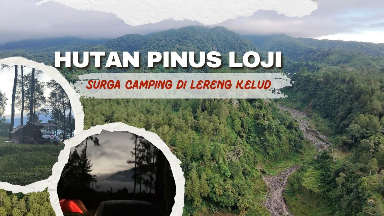 Camping keluarga di Hutan Pinus Loji, Blitar | Kaki gunung Kelud # ...