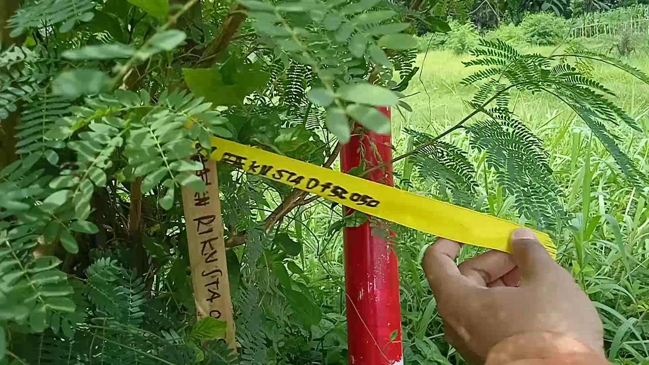 Stationing (STA), Titik Awal Proyek Jalan Tol - YouTube