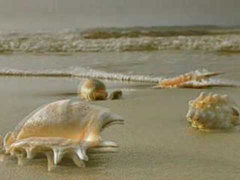 Senin İçin Candostum