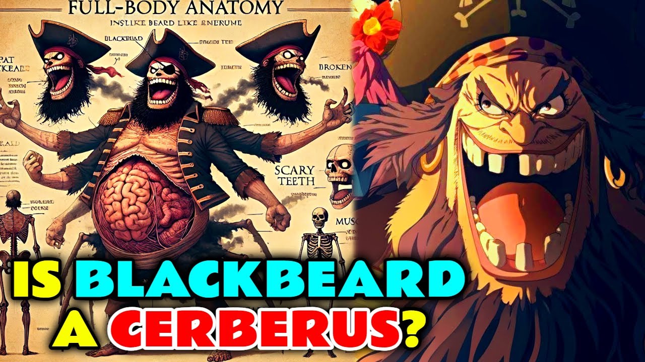 Blackbeard Anatomy Explored - Is He A Cerberus? How Does He Have Two ...