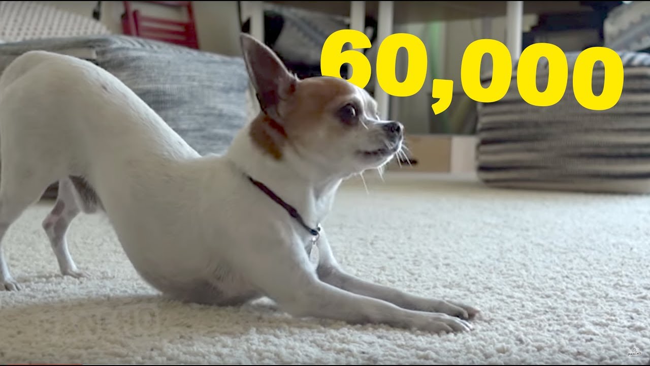 60 THOUSAND! Thank you :-) - YouTube