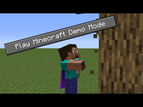 I beat Minecraft Demo Mode