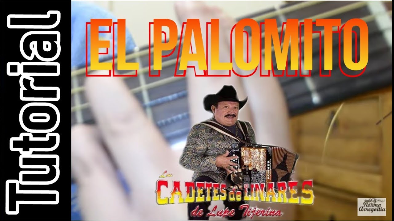 Tutorial | El Palomito - Los Cadetes de Linares en Guitarra | Acordes ...