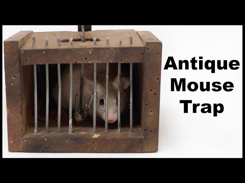 Antique Victorian Mouse Trap. Mousetrap Monday - YouTube