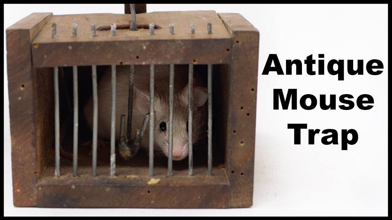 Antique Victorian Mouse Trap. Mousetrap Monday - YouTube
