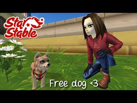 HOW TO GET CUTE PUPPY(CODE) - STAR STABLE ONLINE - YouTube