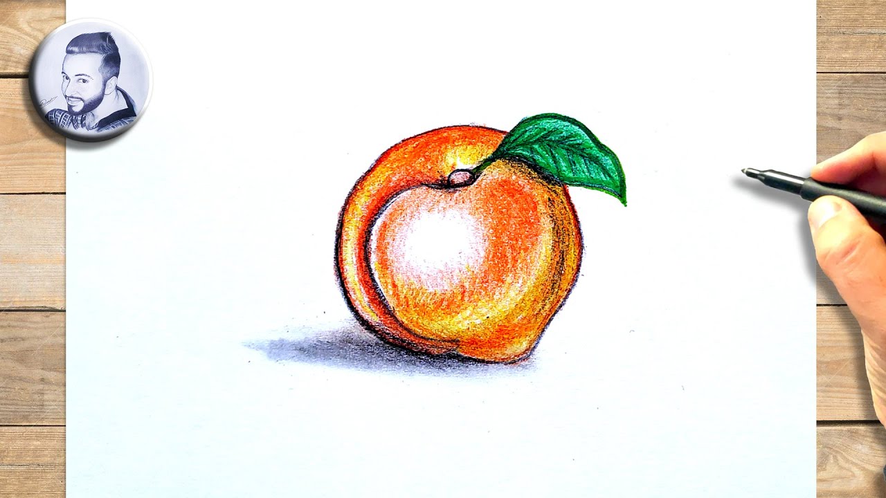 Comment dessiner une pêche fruit dessin facile à faire - YouTube