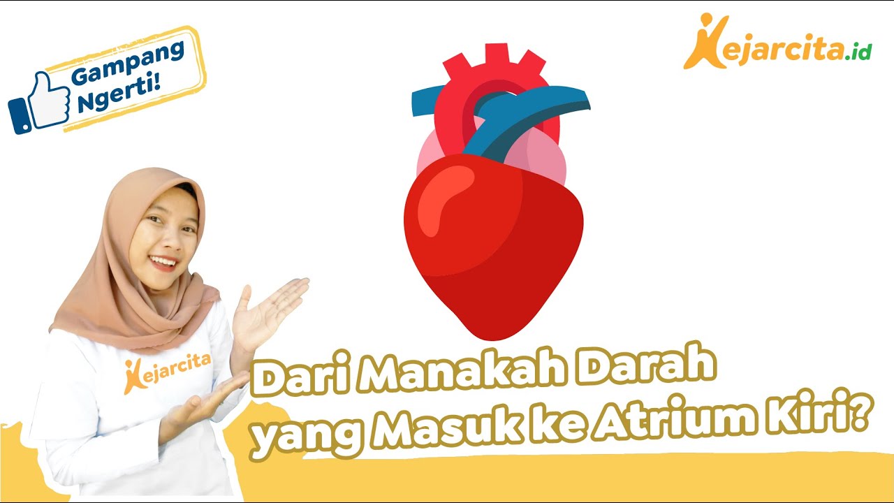 Dari Manakah Darah yang Menuju ke Atrium Kiri Jantung? | IPA SMP - YouTube