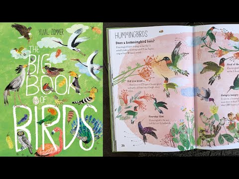 The Big Book of Birds - Quick Flip Through Preview Book Flip - YouTube