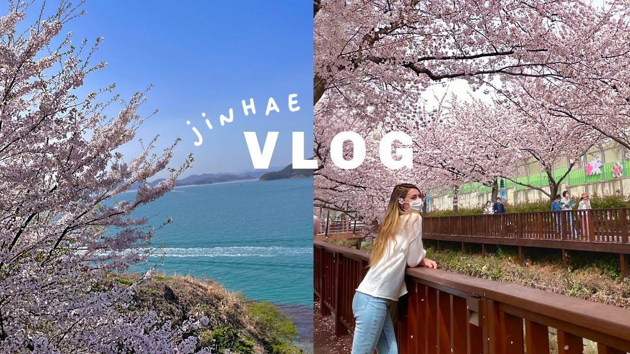 A Day in Korea Vlog 2021 🌸🎥🇰🇷 jinhae cherry blossom season - YouTube