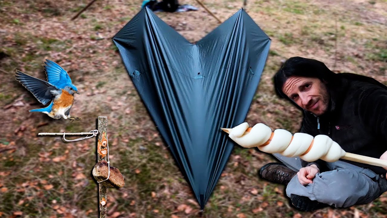 Crafting a Dual-Bedroom Tarp Shelter, Cooking on Open Fire & Bird Trap ...