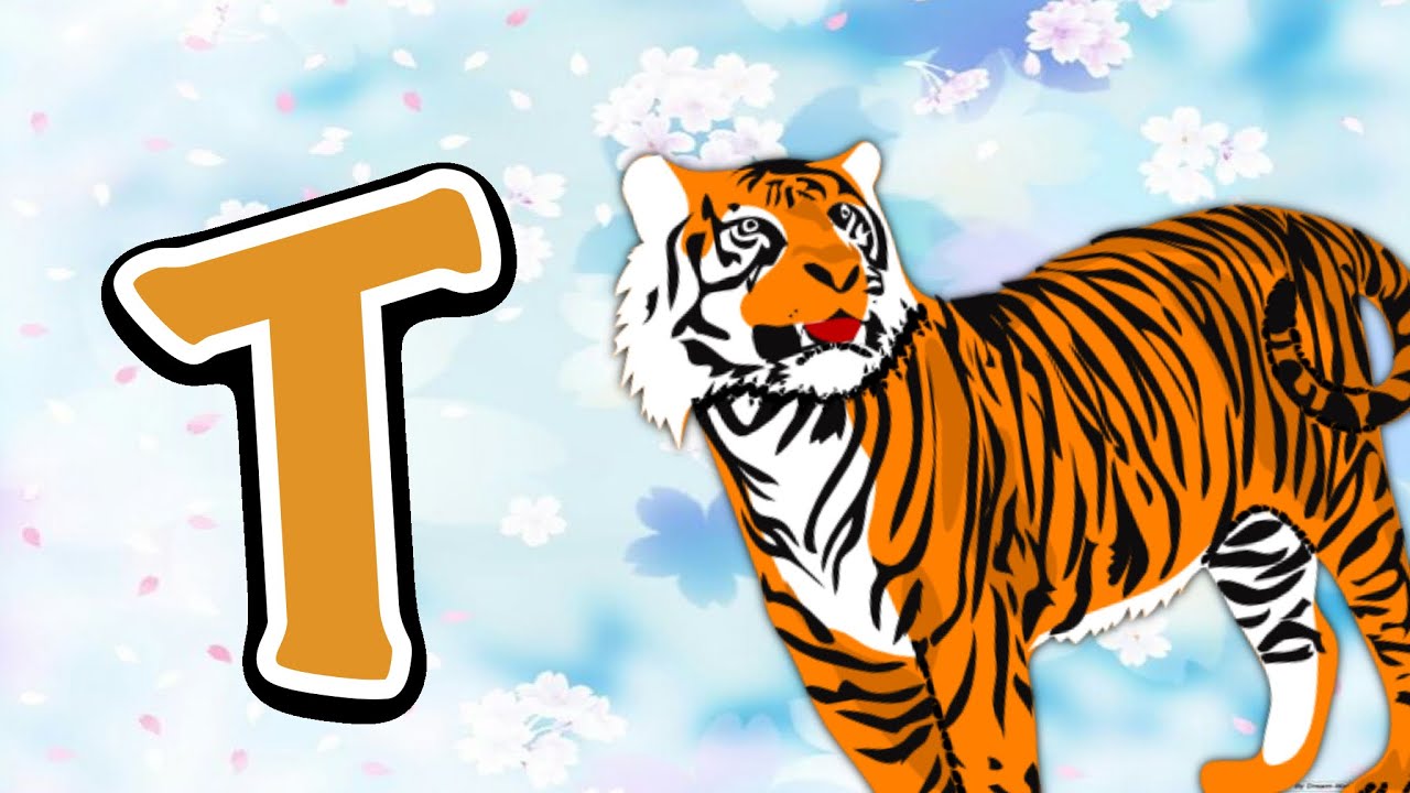 Letter T Song - T for Tiger - YouTube