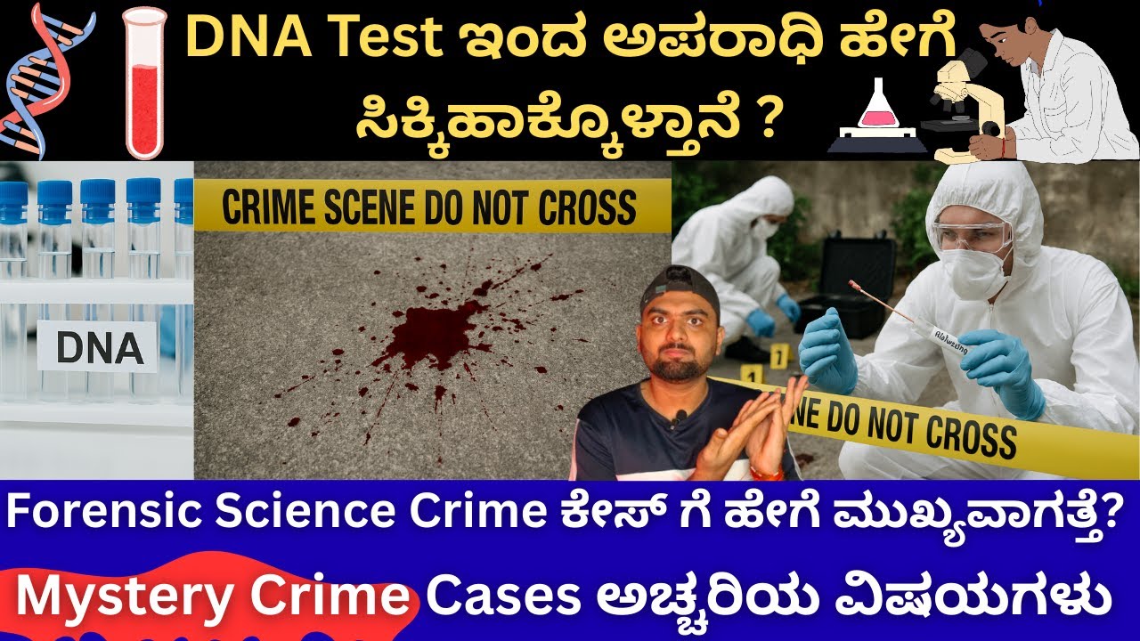 How DNA Tests Solve Crimes | Crime Scene Investigation Explained in ...