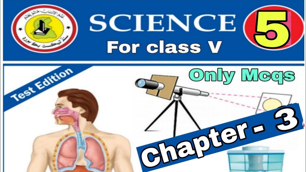 5th Class Science| Chapter 3. Seeds, their Structure and Germination ...