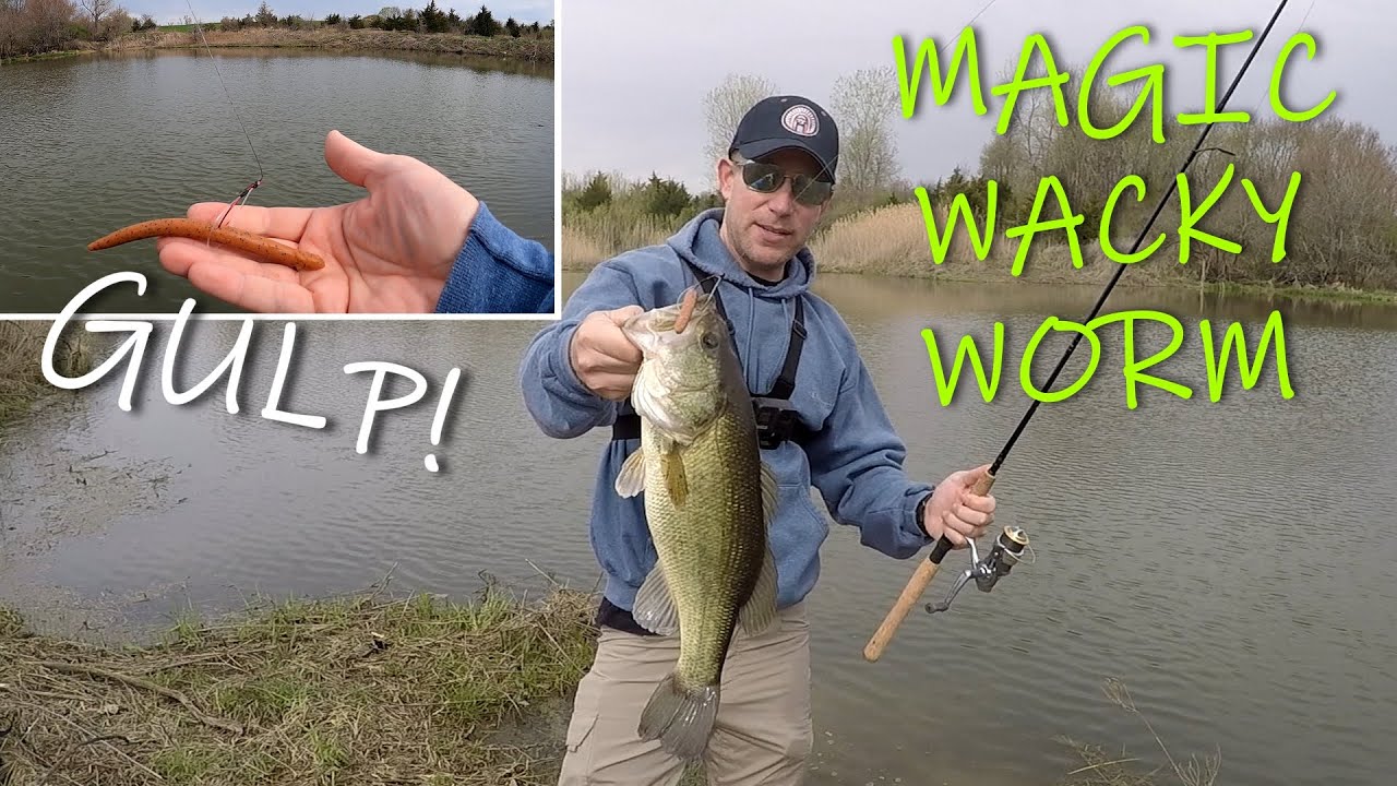 Wacky Worm BASS Fishing a SECRET Public Pond | Catching HUGE Bass on ...