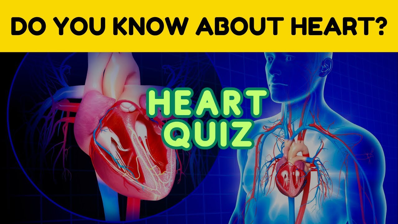 Heart Quiz Challenge How Well Do You Know Your Heart ️ Youtube