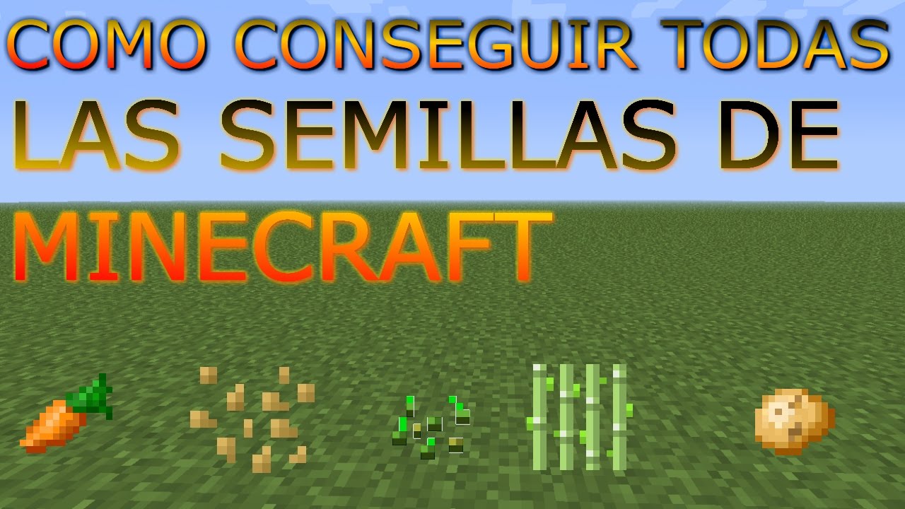 Como Plantar Semillas En Minecraft - Dibujos Cute Para Imprimir