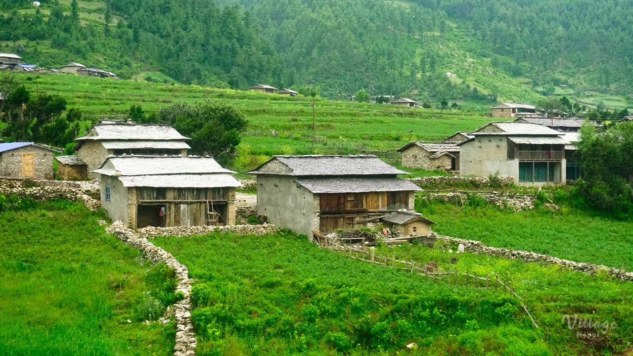 Beautiful Organic Mountain Village Life | Nomadic lifestyle in mountain ...