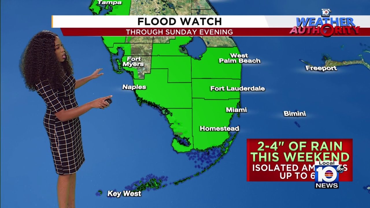 Tracking Debby: Flood watch in effect for South Florida - YouTube