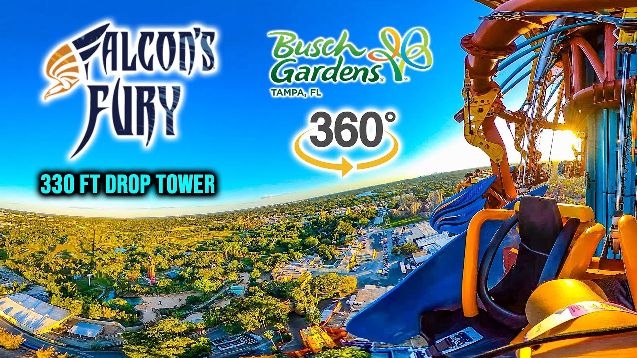 VR 360 Falcon's Fury 335 ft Drop Tower On Ride POV Busch Gardens Tampa ...