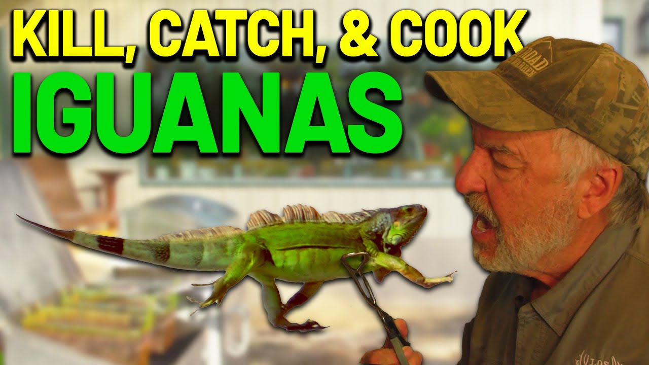 Iguana Cooking - YouTube