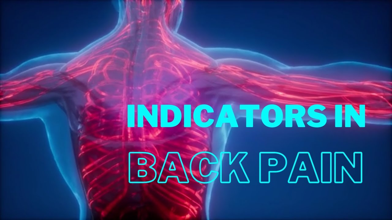 Indicators in Back Pain - YouTube